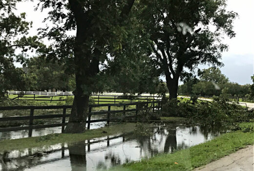 How To Prep Your Home For A Hurricane, Inside & Out: Easy Guide ...