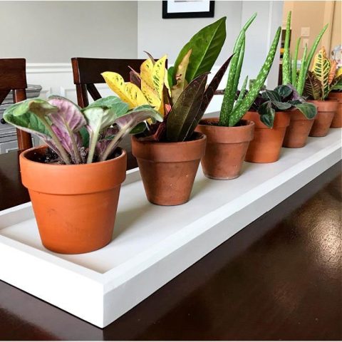 I LOVE This Easy DIY Long Wooden Table Runner Tray - Abbotts At Home