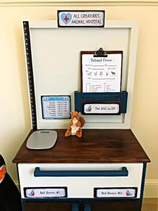DIY Kids Vet Clinic: Fun Pretend Playset with Steps & Video - Abbotts ...