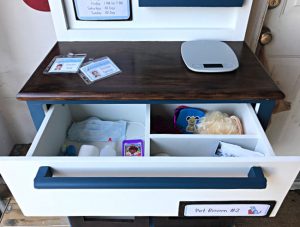 DIY Kids Vet Clinic: Fun Pretend Playset with Steps & Video - Abbotts ...