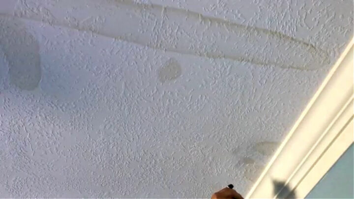 How To Paint Over Water Stains On Ceiling: Easy Steps & Video - Abbotts ...