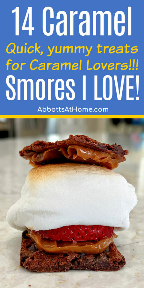 12 Yummy Dulce De Leche and Caramel Smores Variations You Should Try ...